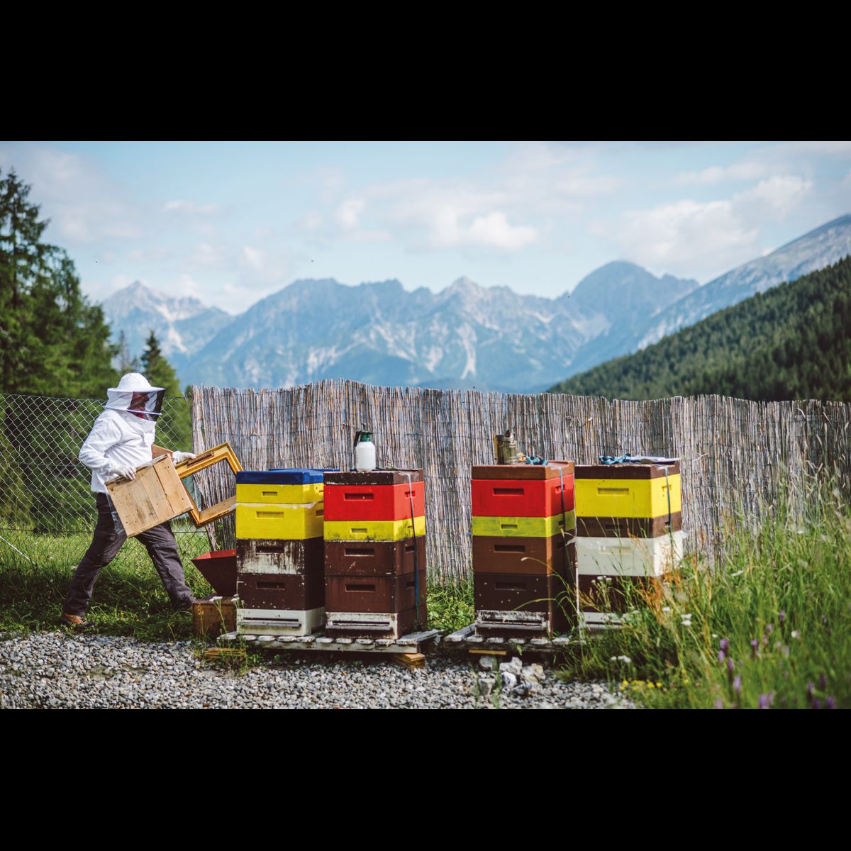 Tiroler Honig: Das Gold aus den Bergen